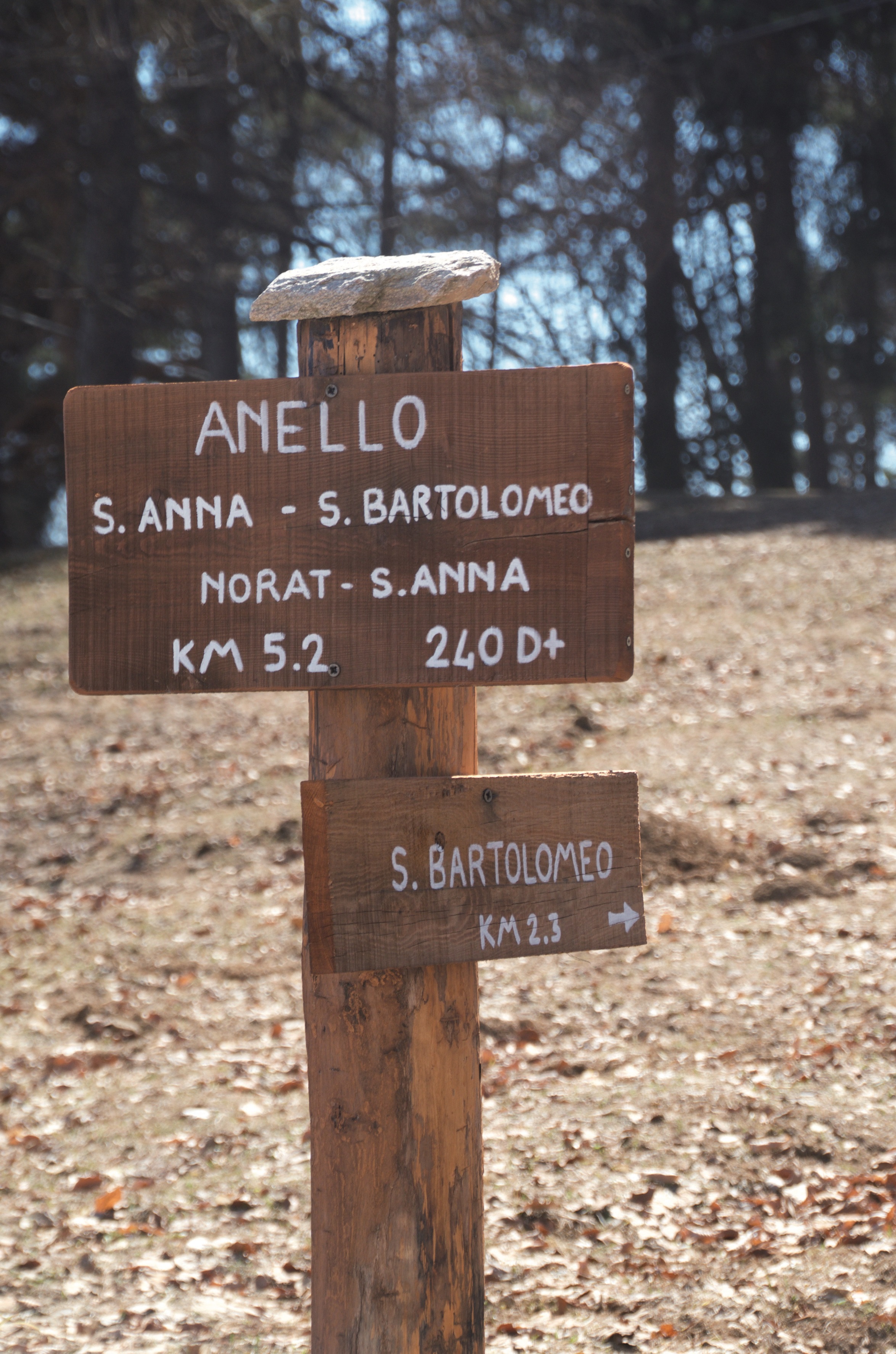 ROCCABRUNA E IL SITO ARCHEOLOGICO DEL ROCCERE - visitcuneese